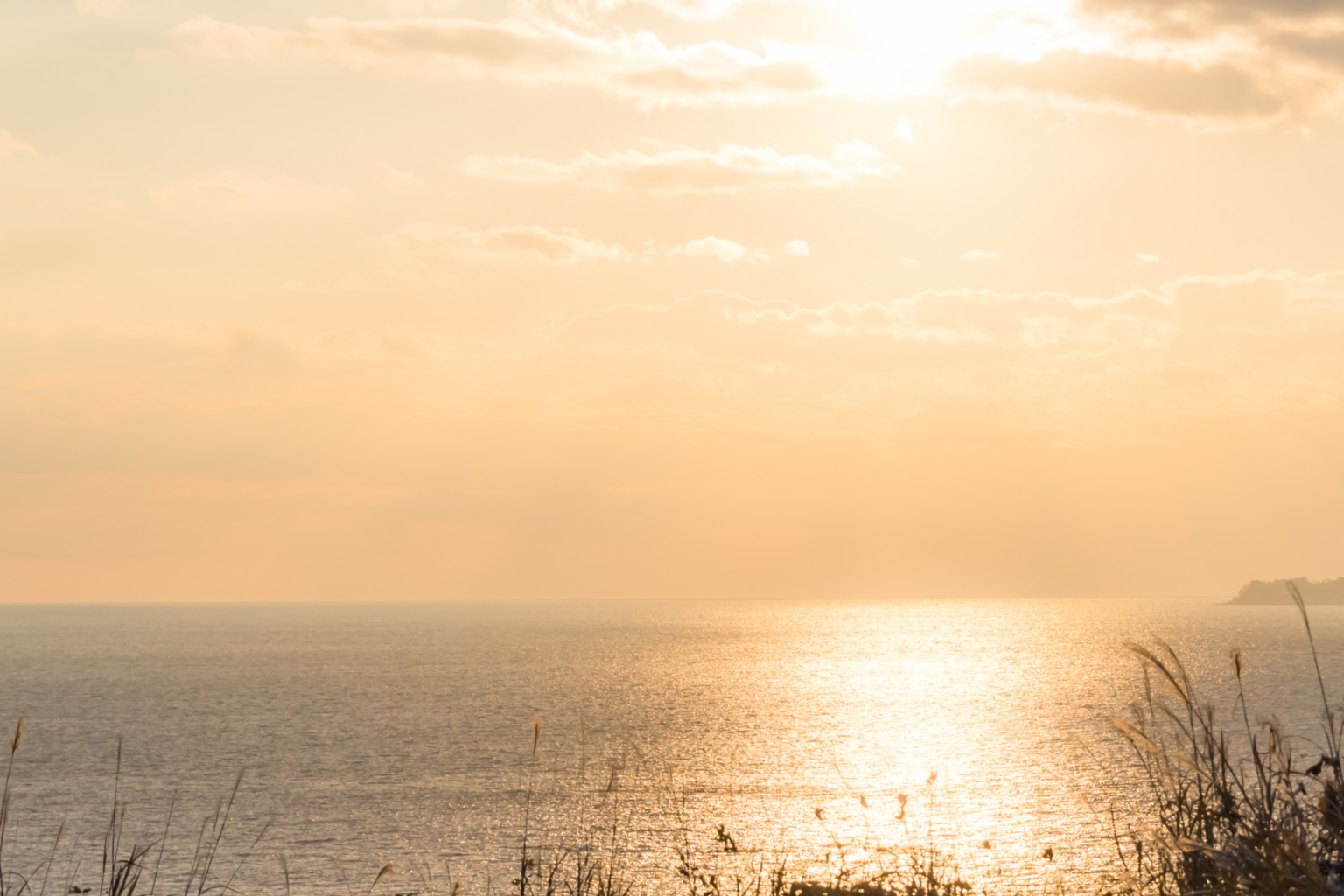 Your Plate-by-Plate Eating Plan | Koru Spring